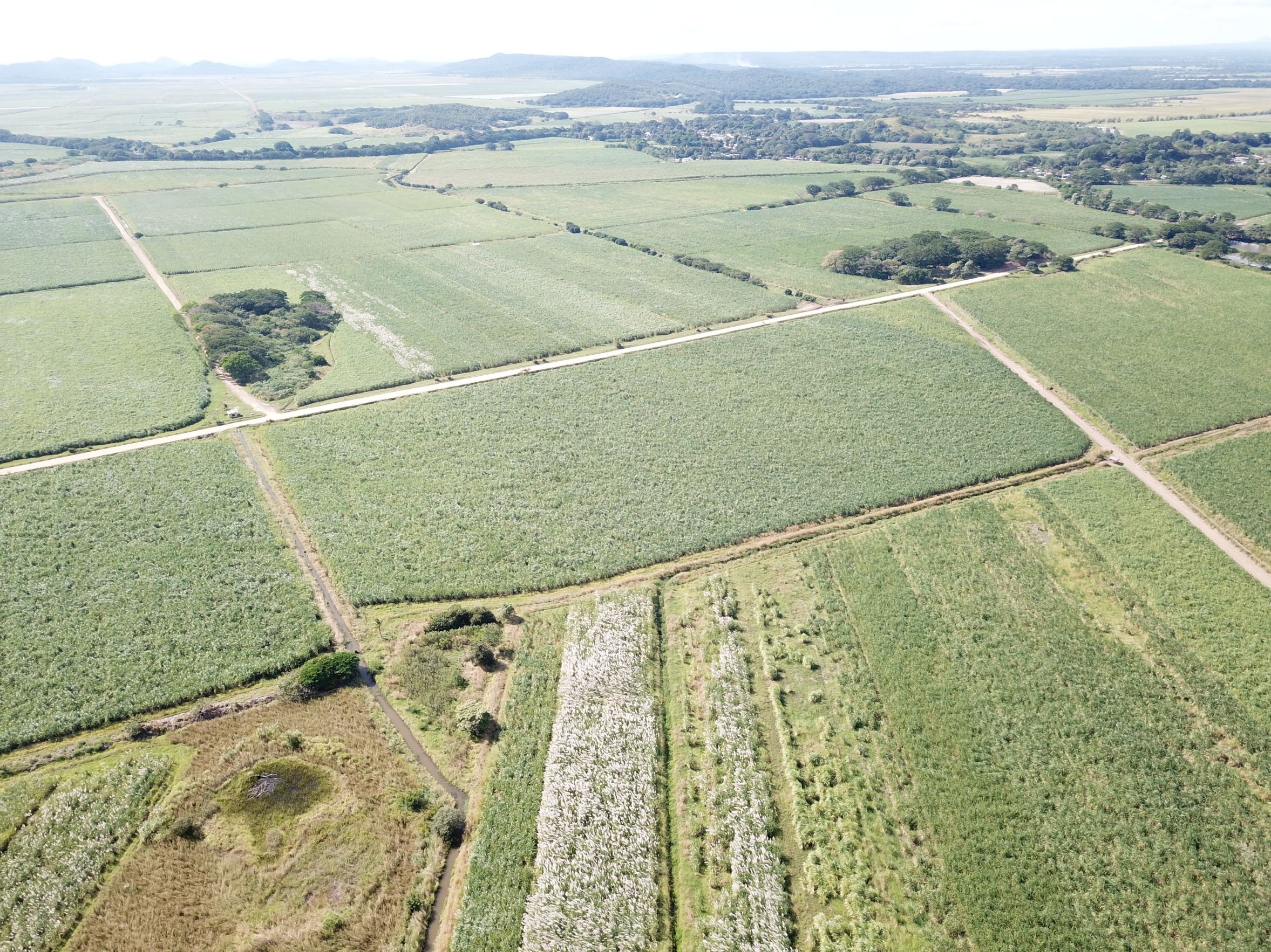 Bertha Challenge 2023 - Bertha Foundation