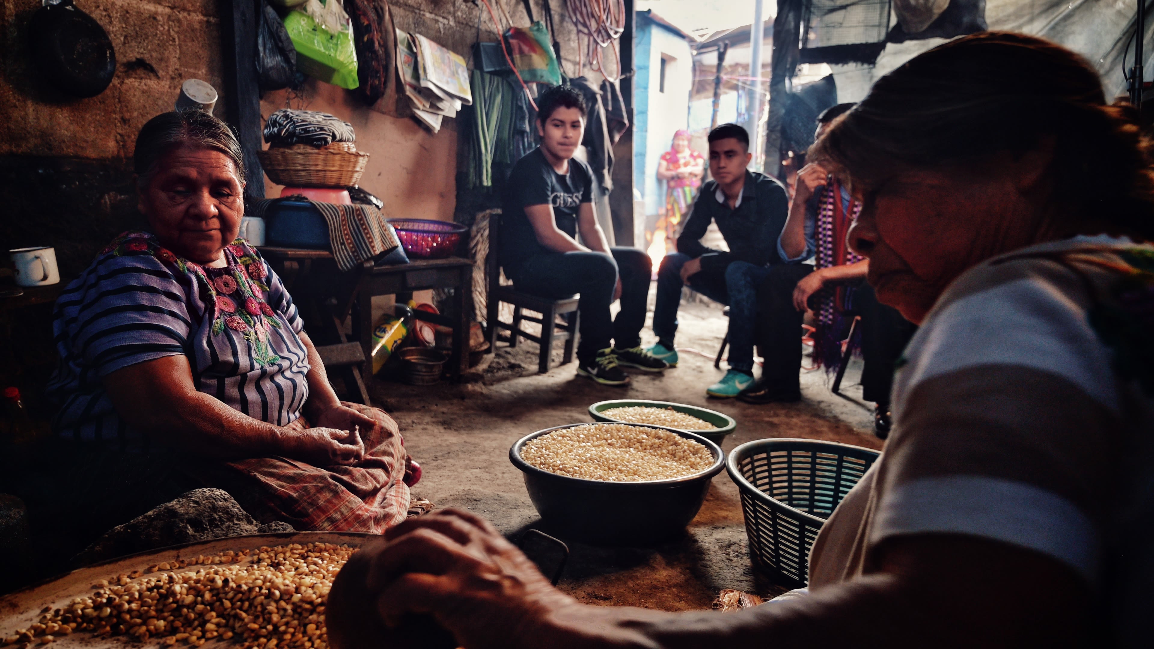 Bertha Challenge 2023 - Bertha Foundation