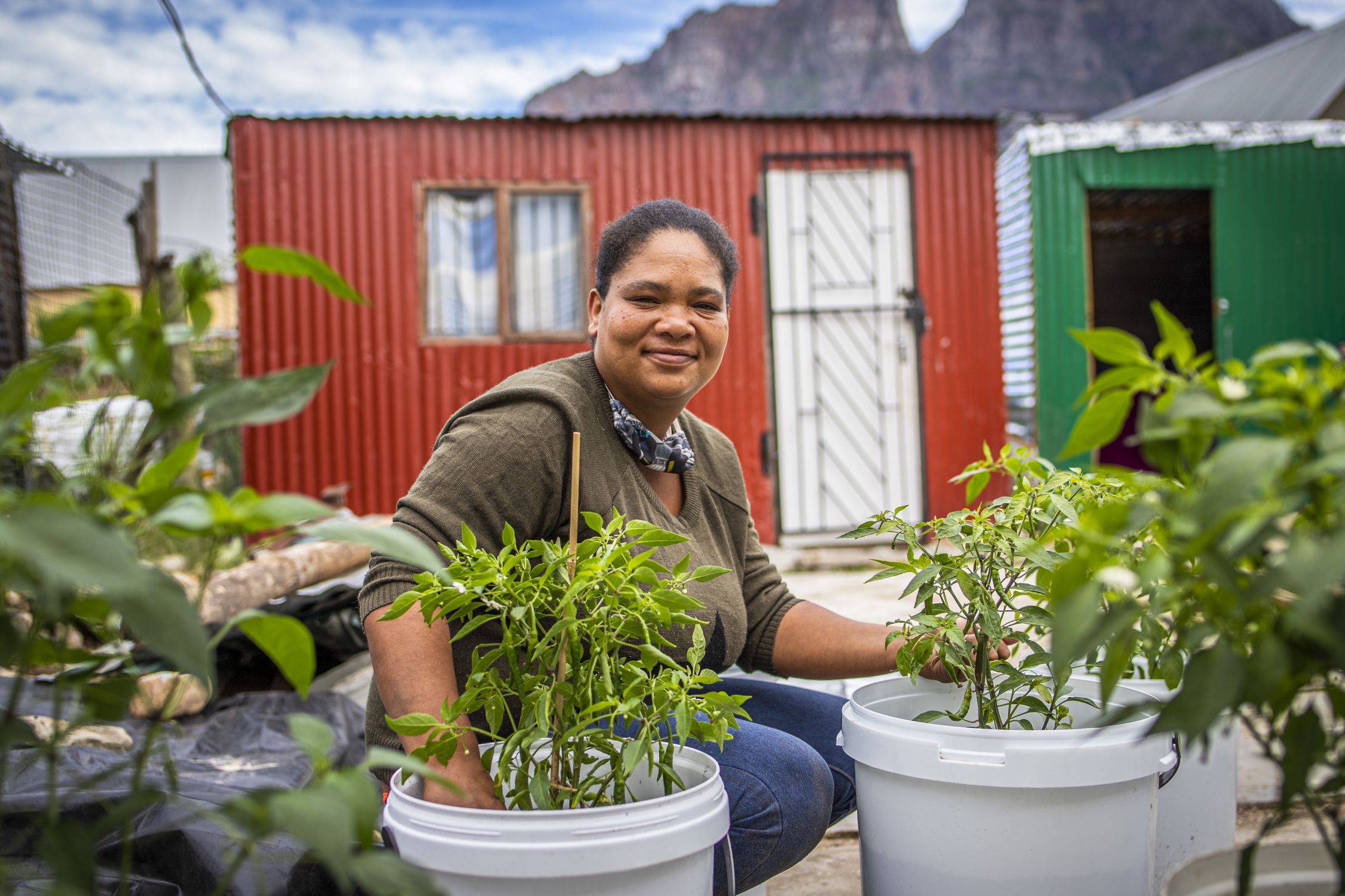 Climate Stories: The Community Garden