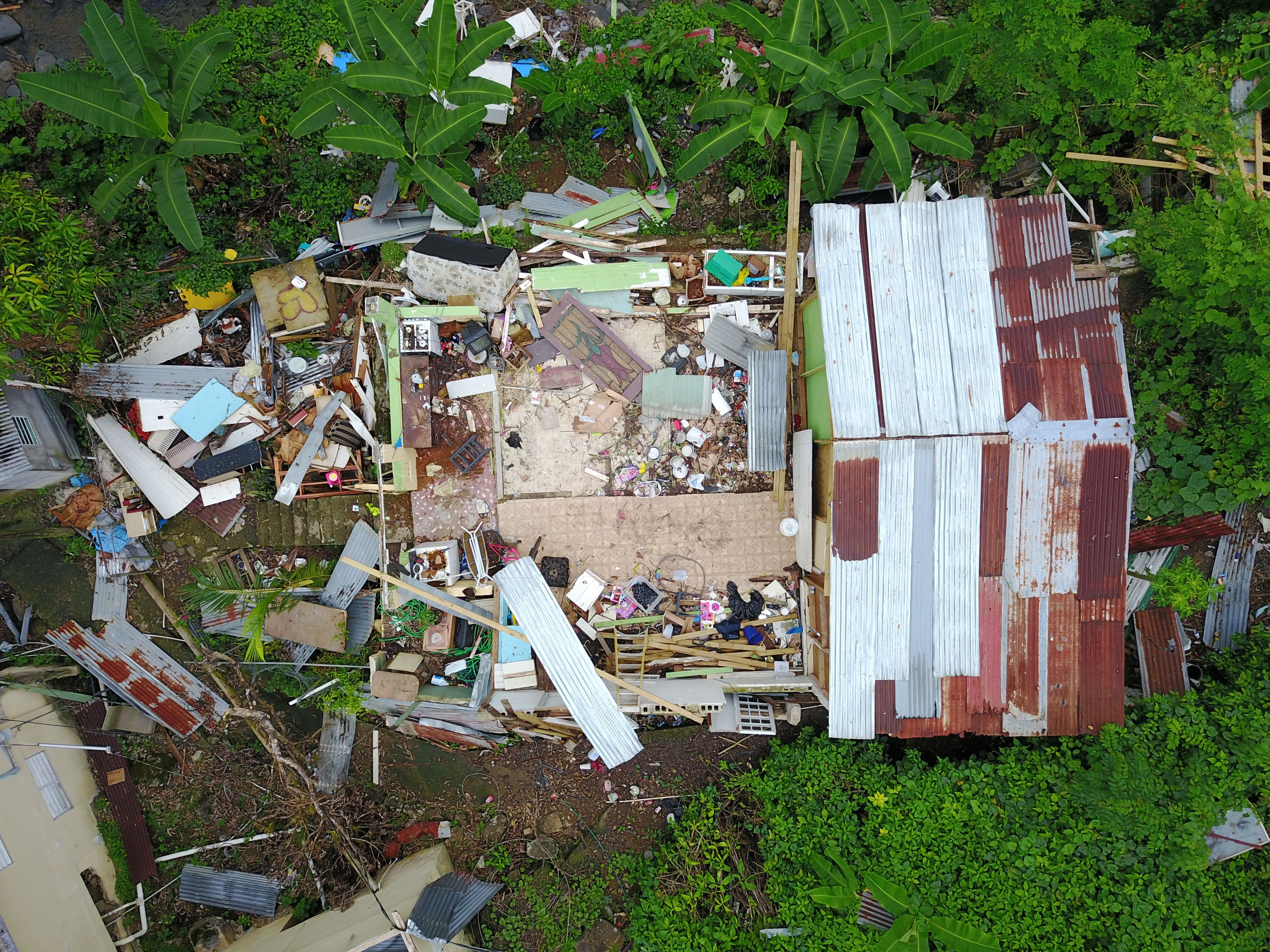 Bertha Artivism Awards 2025 - Bertha Foundation